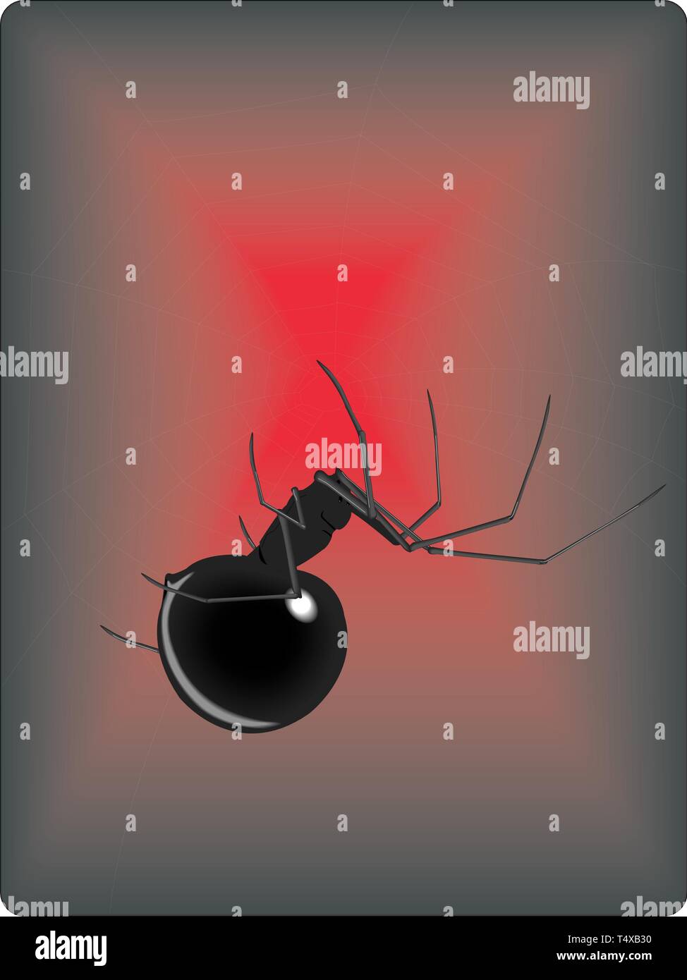 Black Widow Spider Vector Illustration Stock Vector Image & Art - Alamy