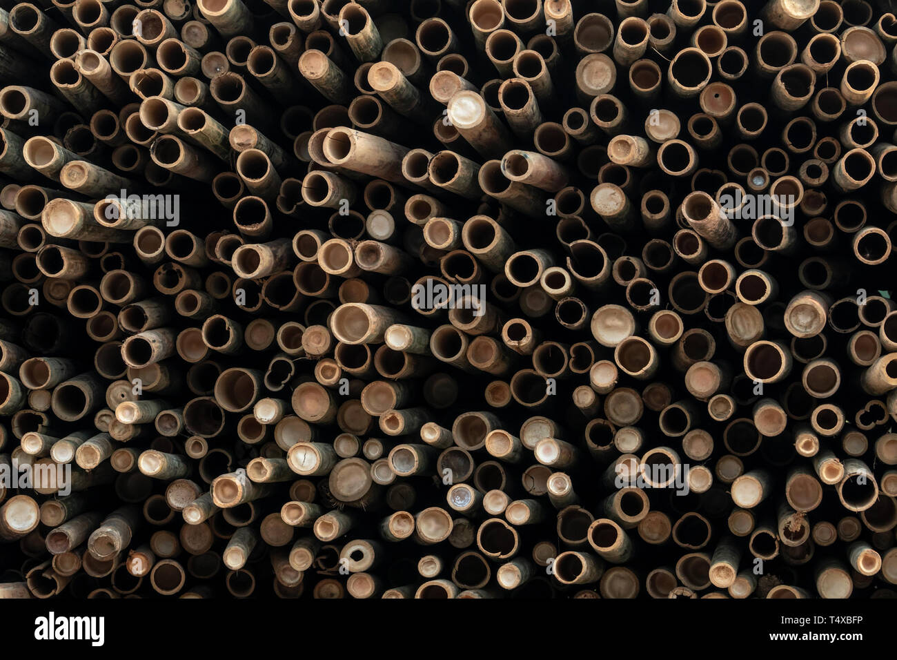 Pile of bamboo pole. Stack of round timber logs. Large batch of wooden ...