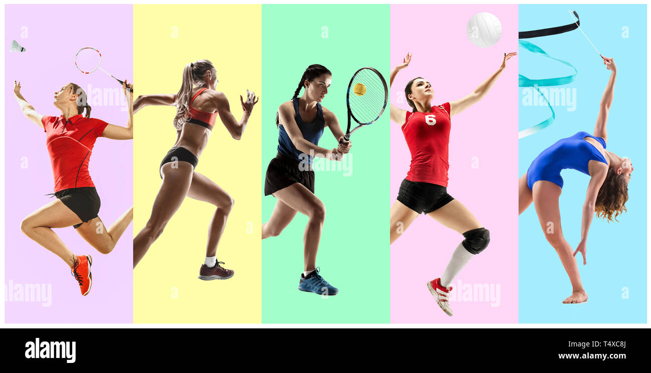 Sport collage about female athletes or players. The tennis, running ...
