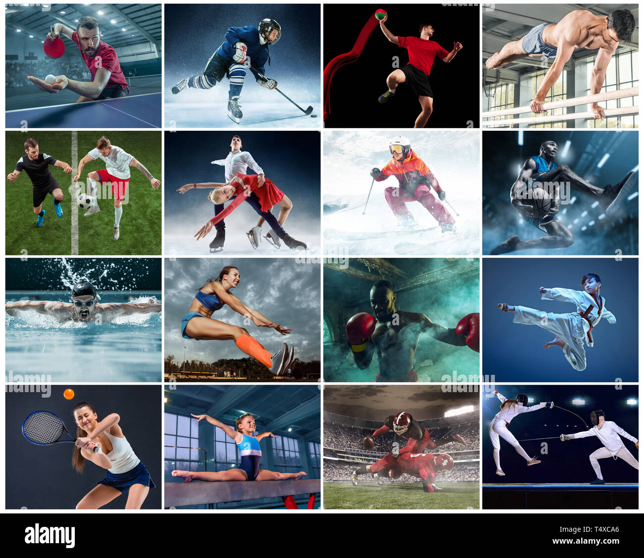 Sport collage about table tennis, gymnastics, boxing, handball, soccer ...