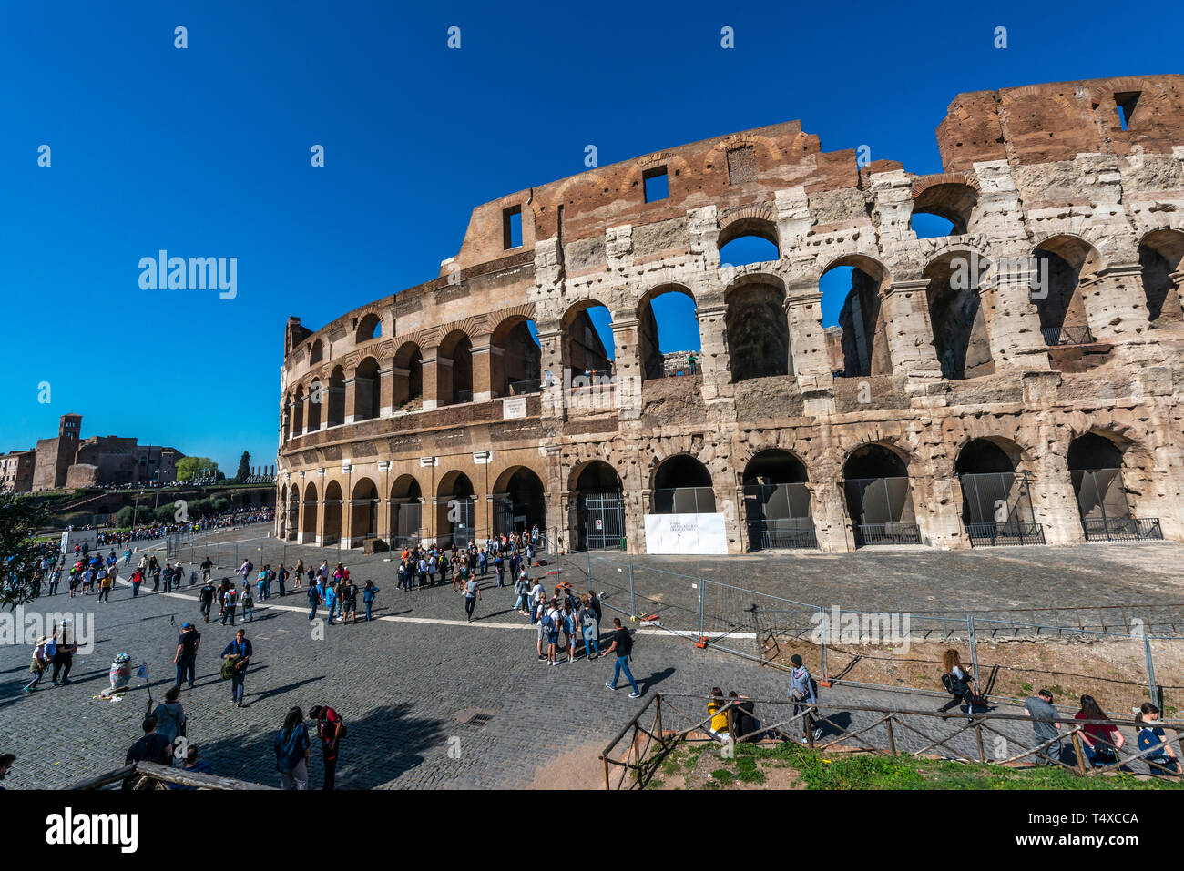 Coliseum trees sky amphitheatre hi-res stock photography and images - Alamy