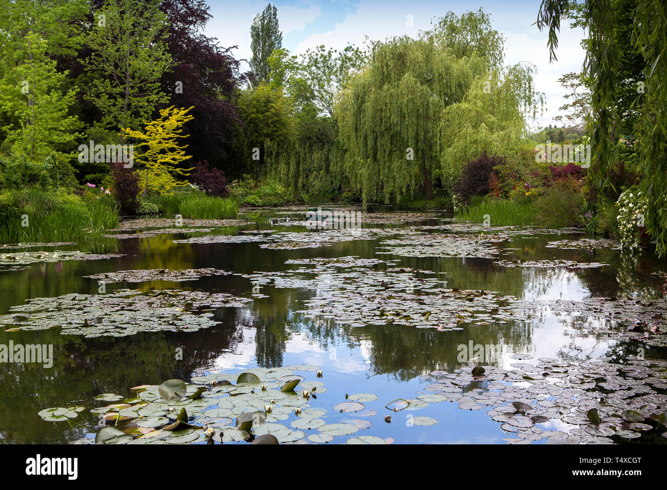 GIVERNY, FRANCE, MAY 21, 2015 : impressionists gardens and ponds of ...