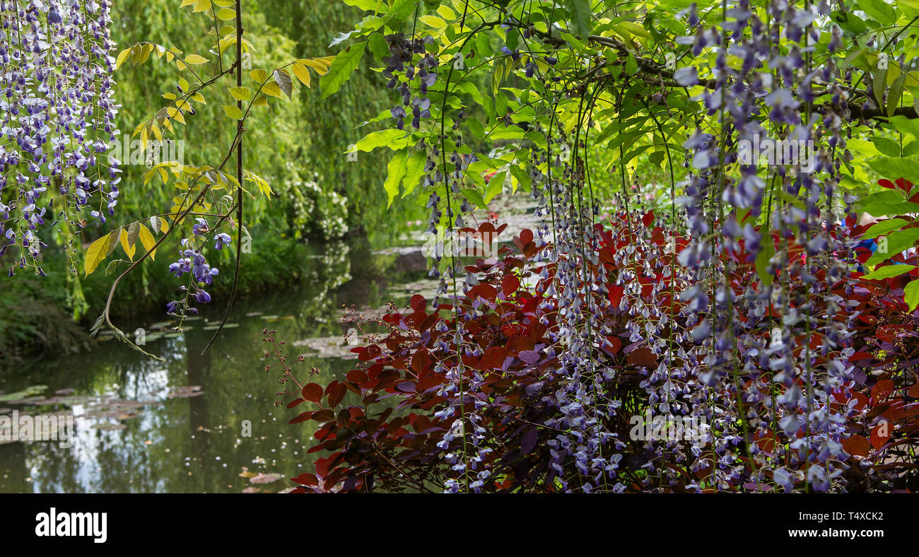GIVERNY, FRANCE, MAY 21, 2015 : impressionists gardens and ponds of ...