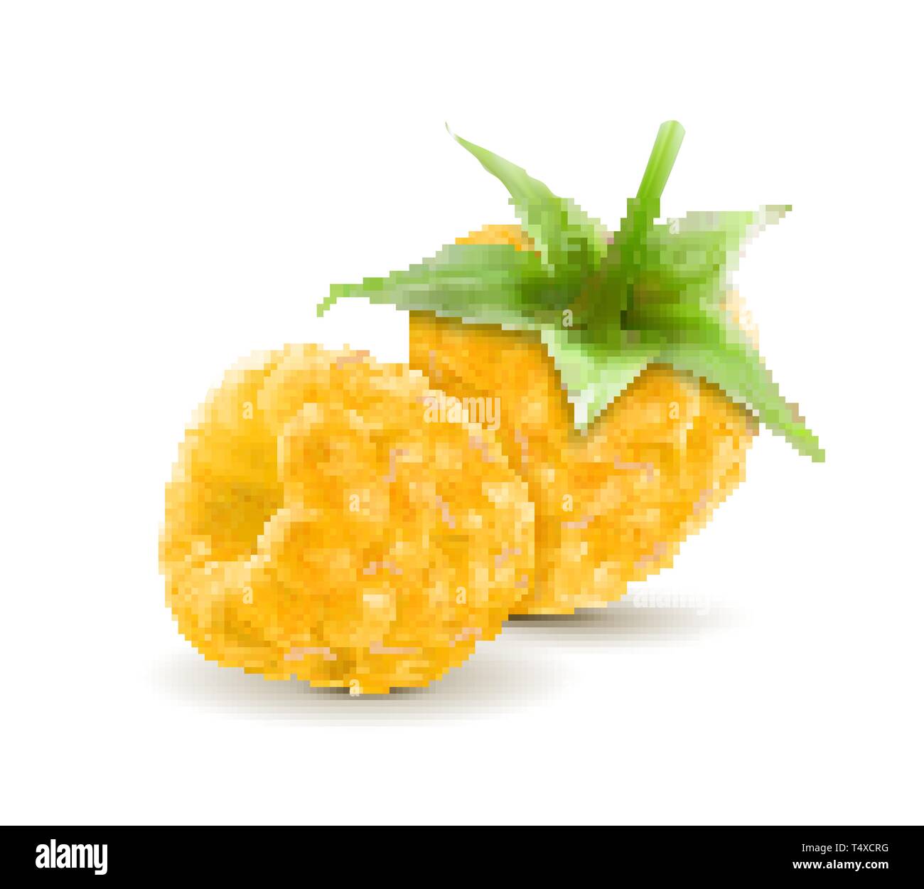 Two yellow raspberry on white background. Quality realistic vector, 3d ...