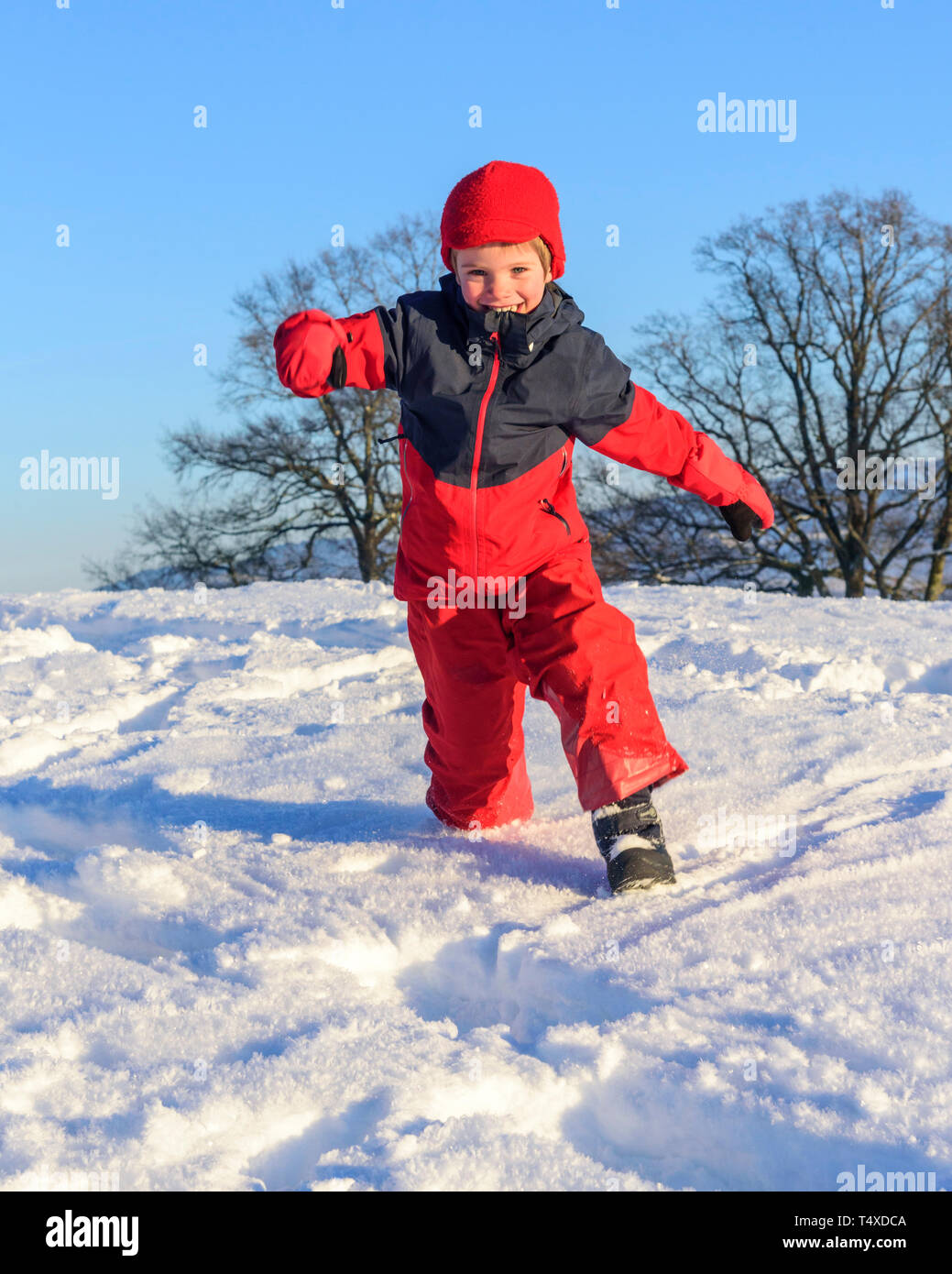 Romp around hi-res stock photography and images - Alamy