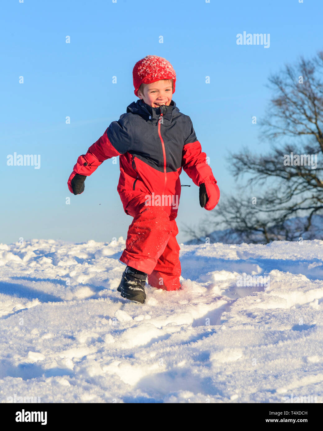 Romp around hi-res stock photography and images - Alamy