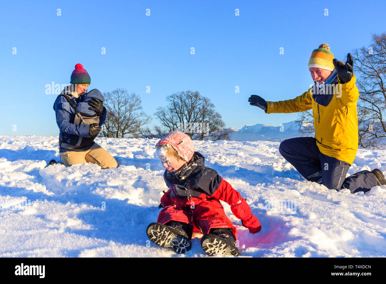 Family romping around in fresh snow in afternoon Stock Photo - Alamy