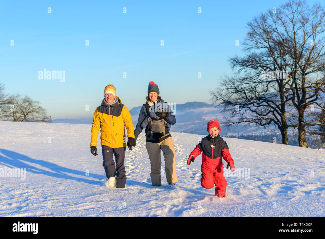 Family romping around in fresh snow in afternoon Stock Photo - Alamy