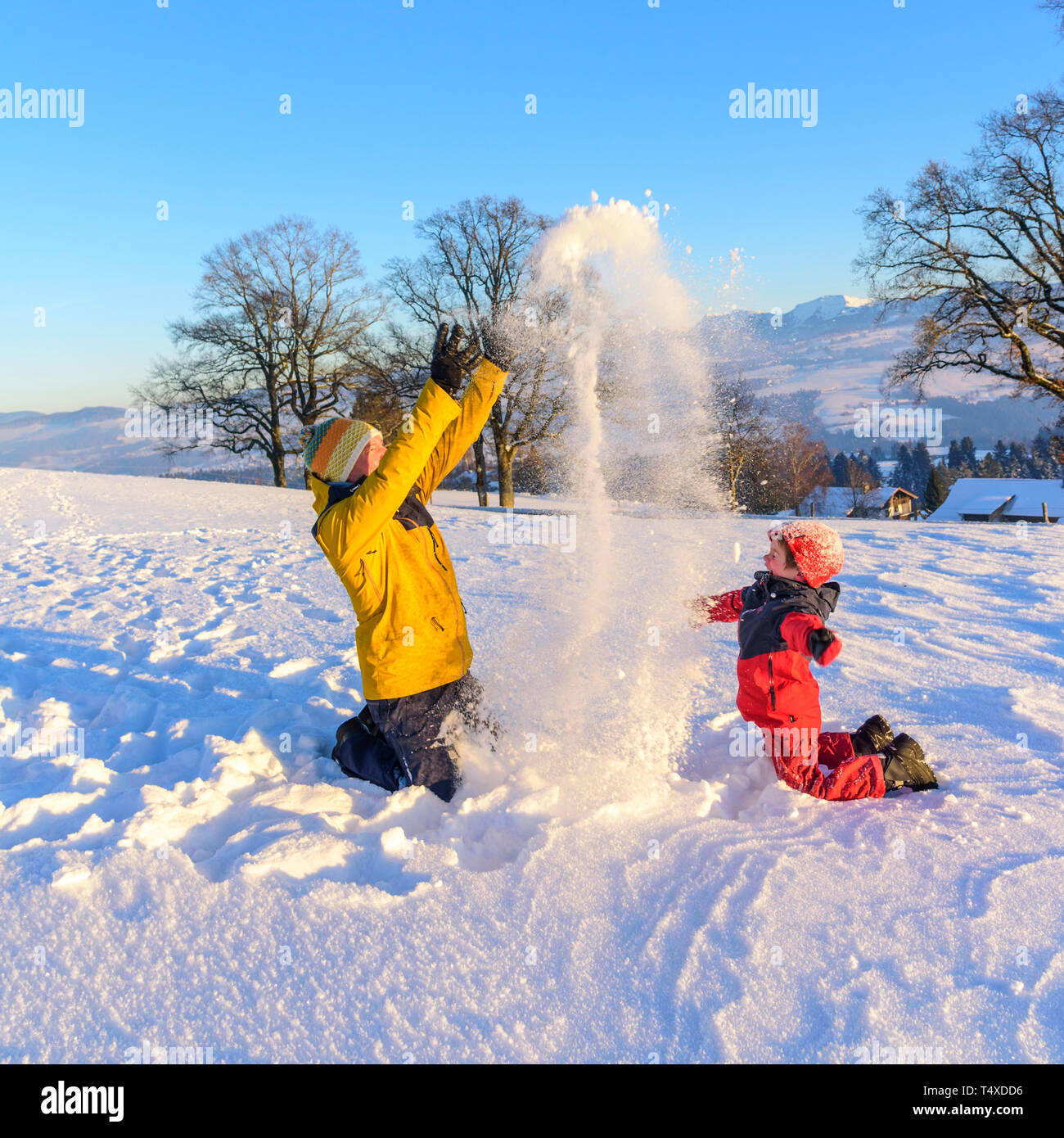 Funny afternoon in snow Stock Photo - Alamy