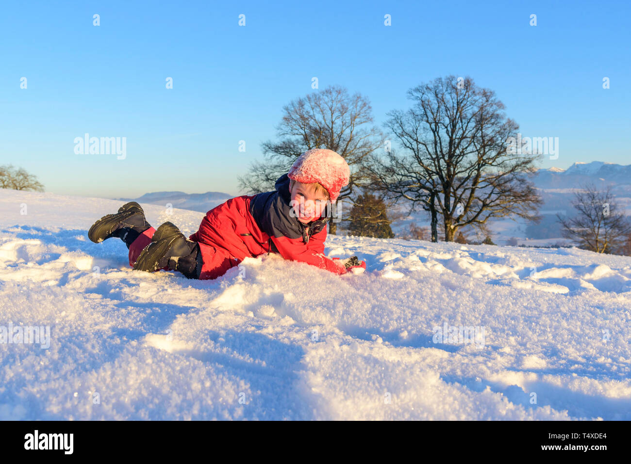 Romping hi-res stock photography and images - Alamy