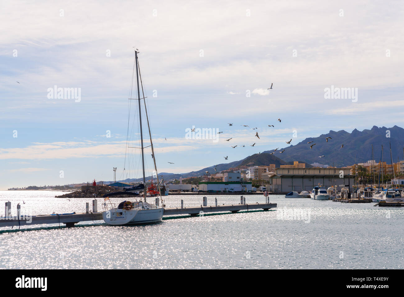 GARRUCHA, SPAIN - JANUARY 23, 2019 A beautiful marina with luxury ...