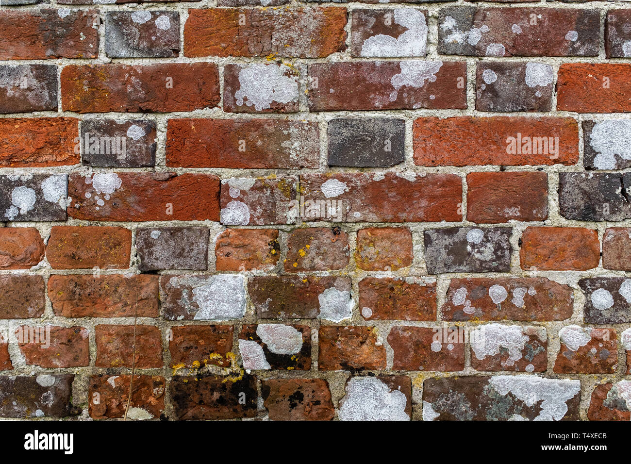 Stone wall with white spots hi-res stock photography and images - Alamy
