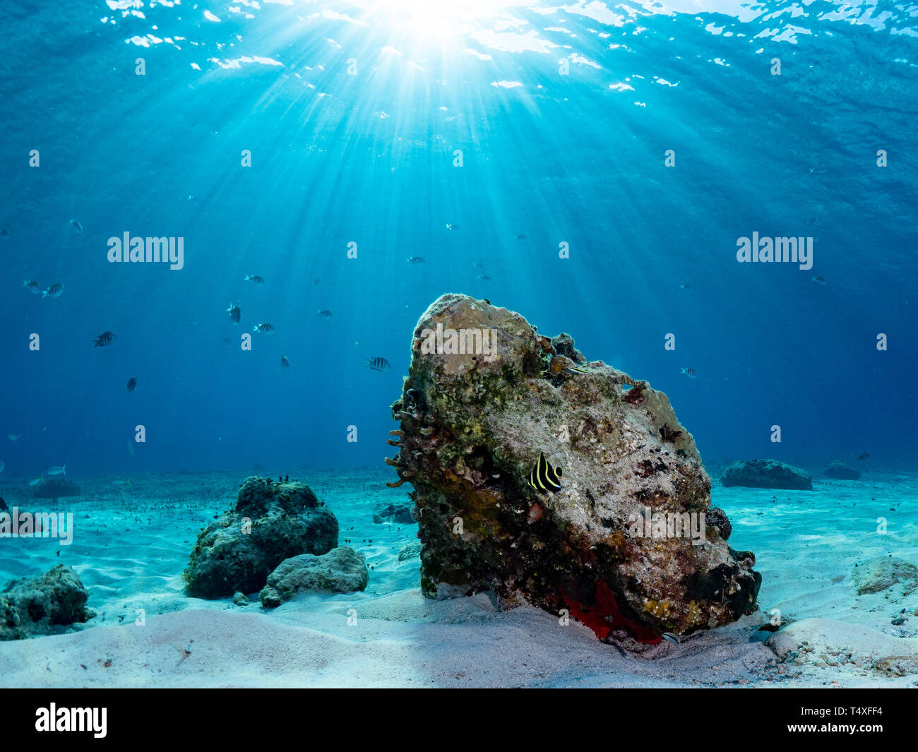 Underwater sunburst hi-res stock photography and images - Alamy