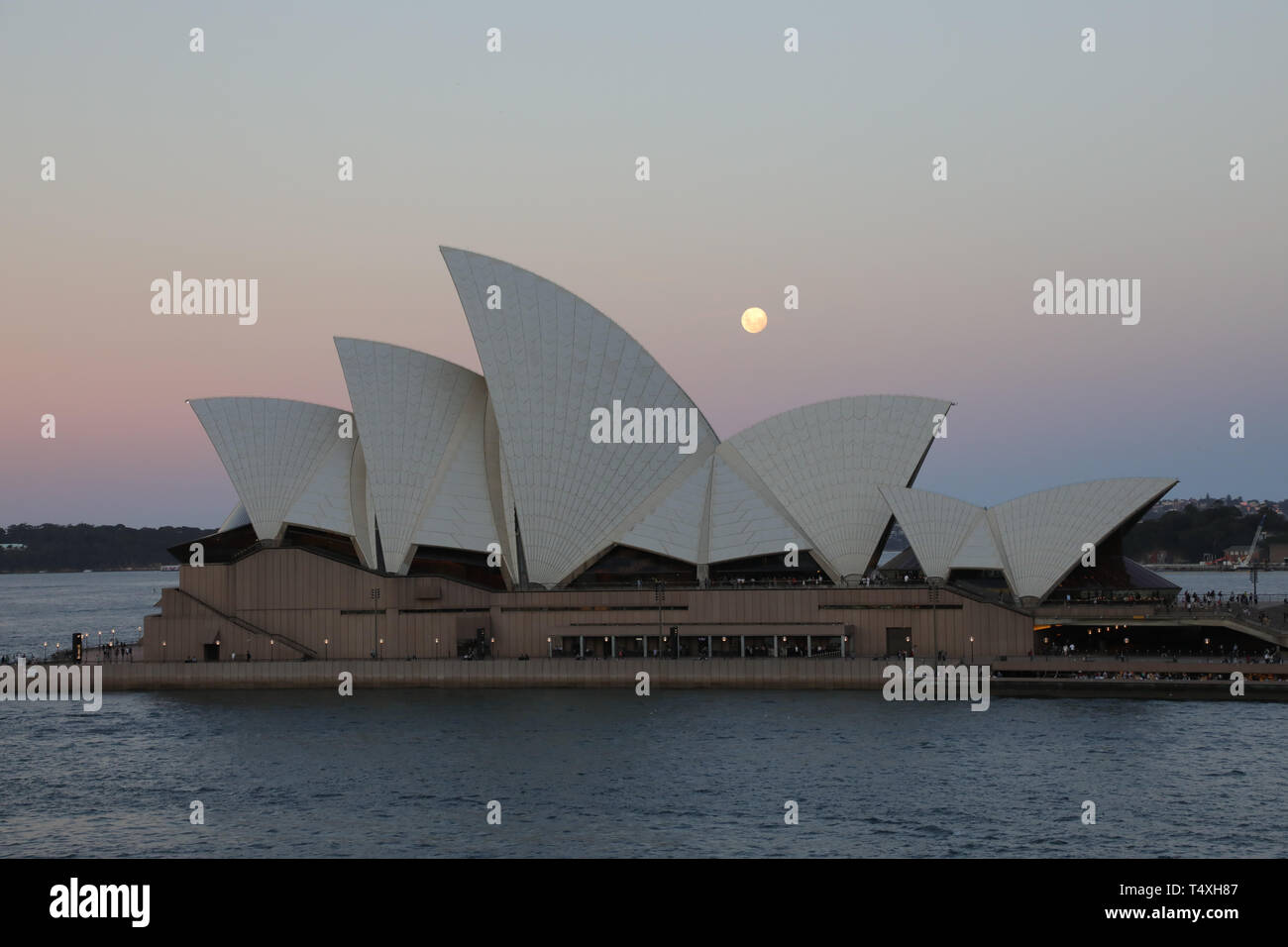 The moon rises over Sydney Opera House at dusk Stock Photo - Alamy