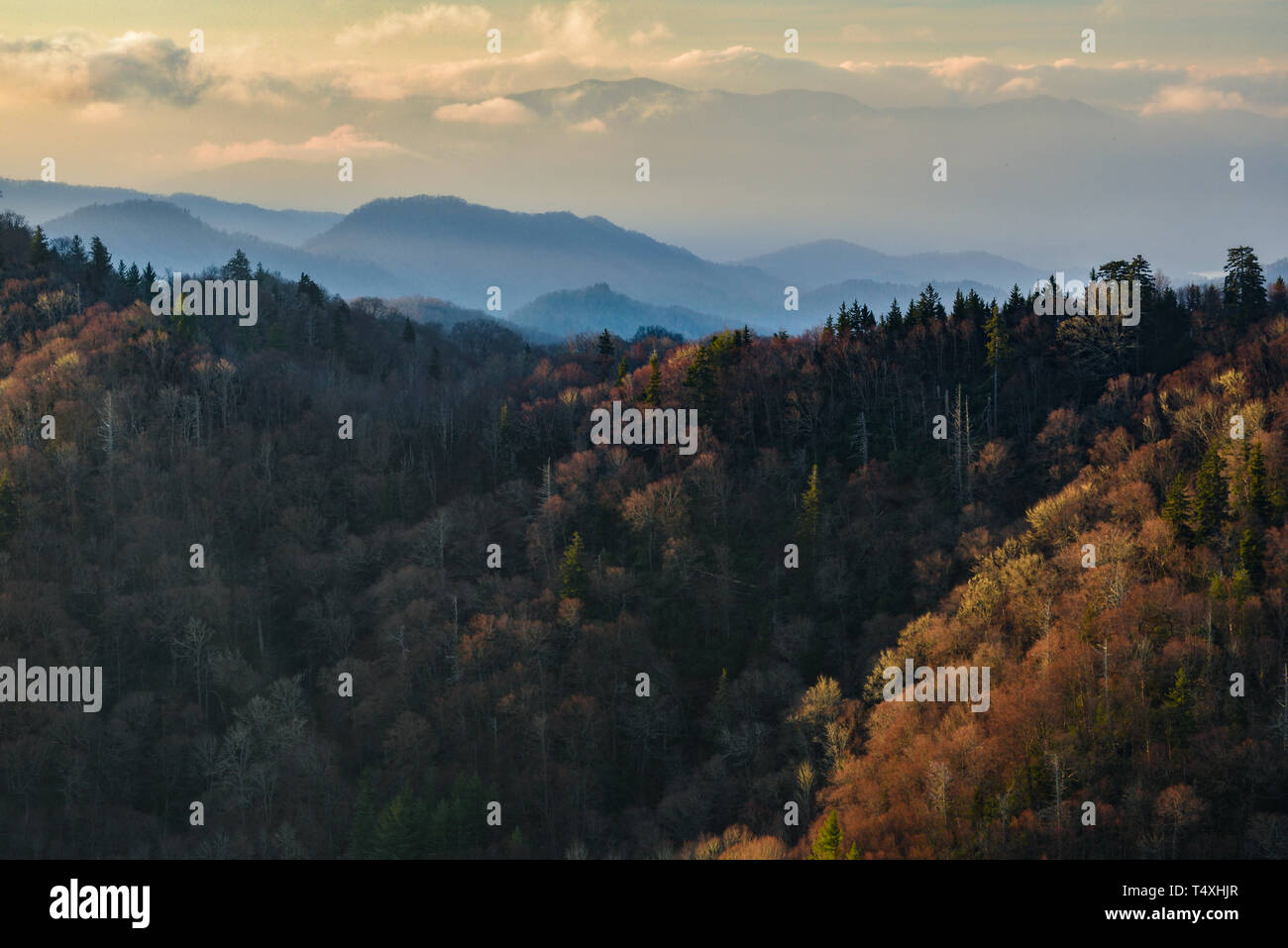 Early morning sunrise from the summit at Newfound Gap in the Great ...
