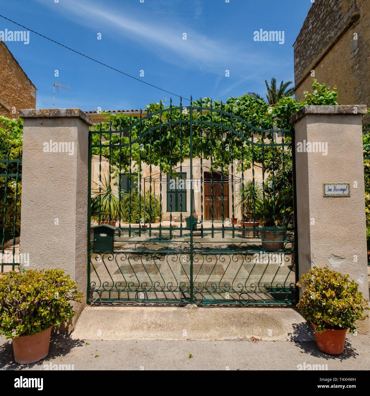 Son rossinyol hi-res stock photography and images - Alamy