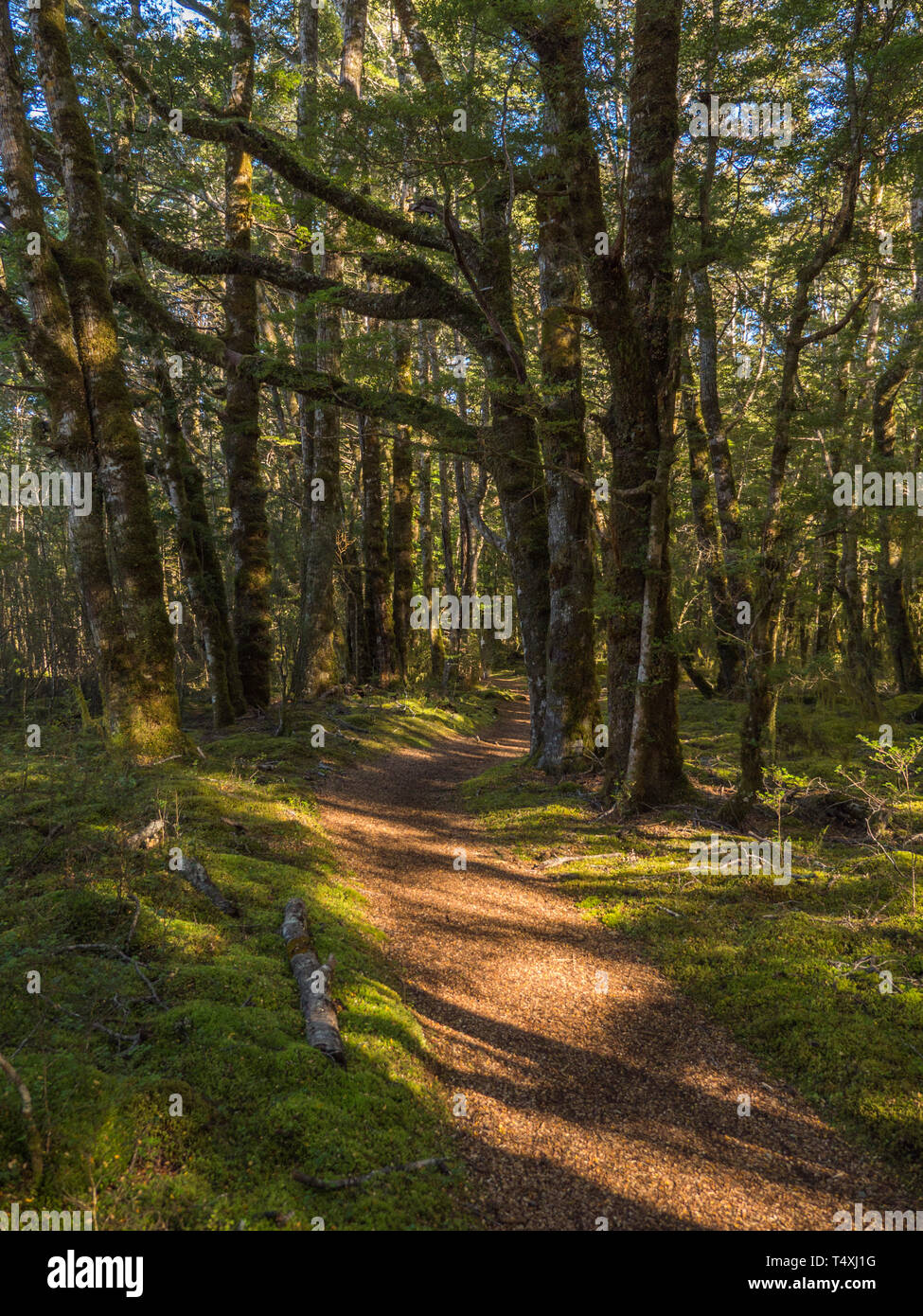 Kepler track hi-res stock photography and images - Alamy