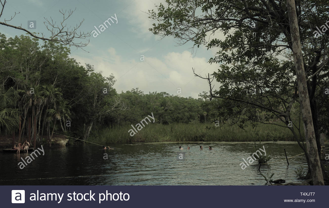Tree Surrounded By Water Stock Photos & Tree Surrounded By Water Stock ...