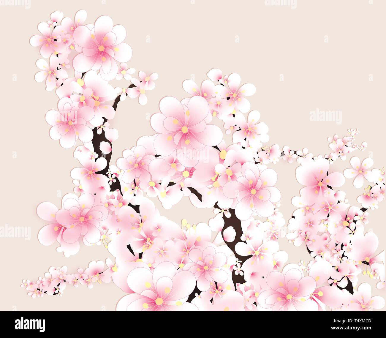 Pastel cherry blossom hi-res stock photography and images - Alamy