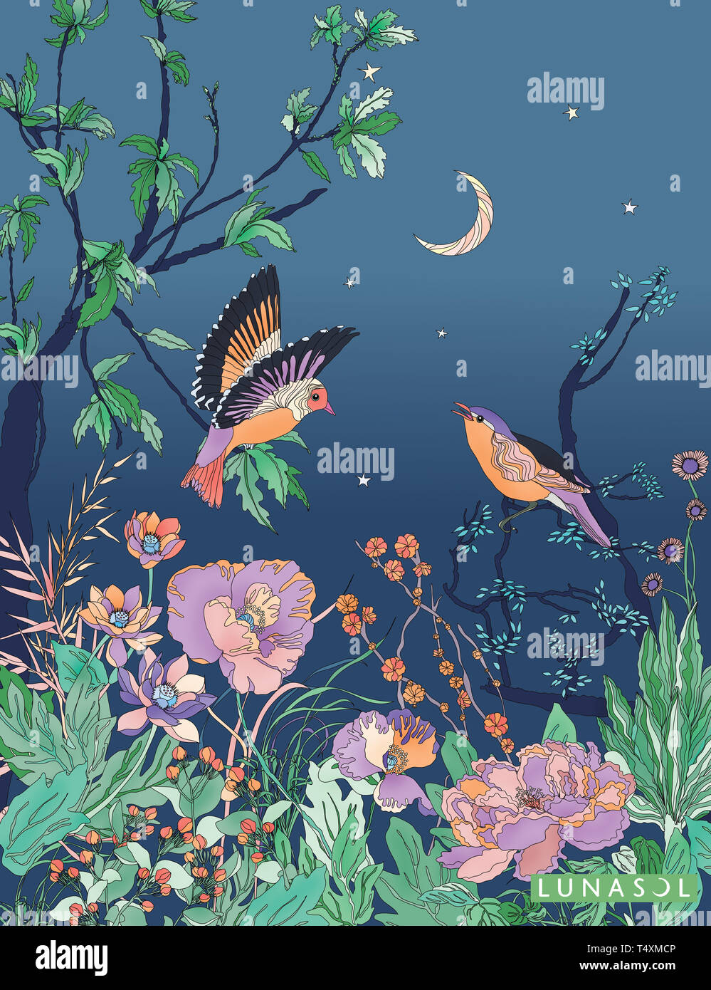 Moon bird night hi-res stock photography and images - Alamy