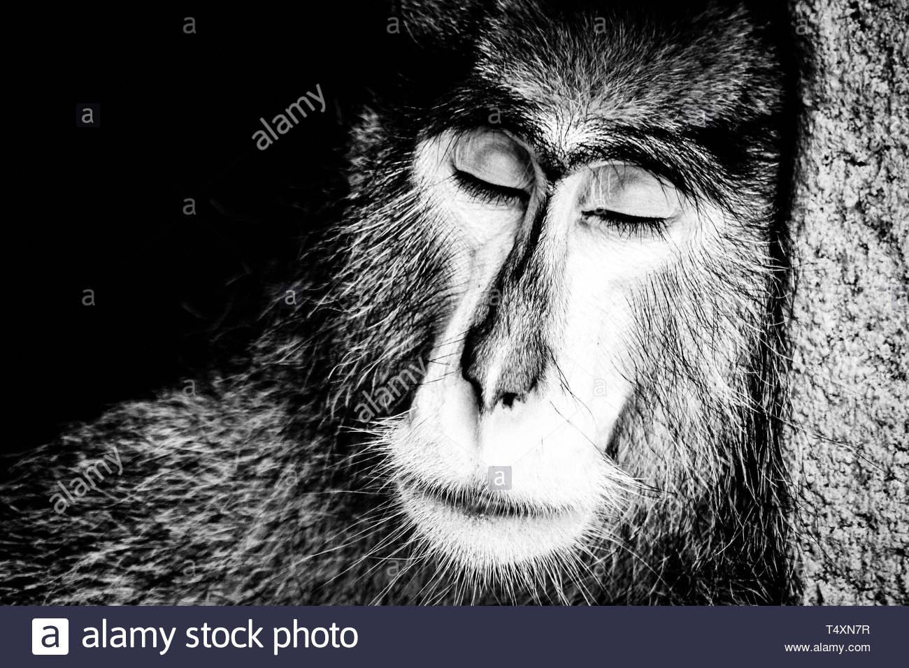 Disgusted Face Stock Photos & Disgusted Face Stock Images - Alamy