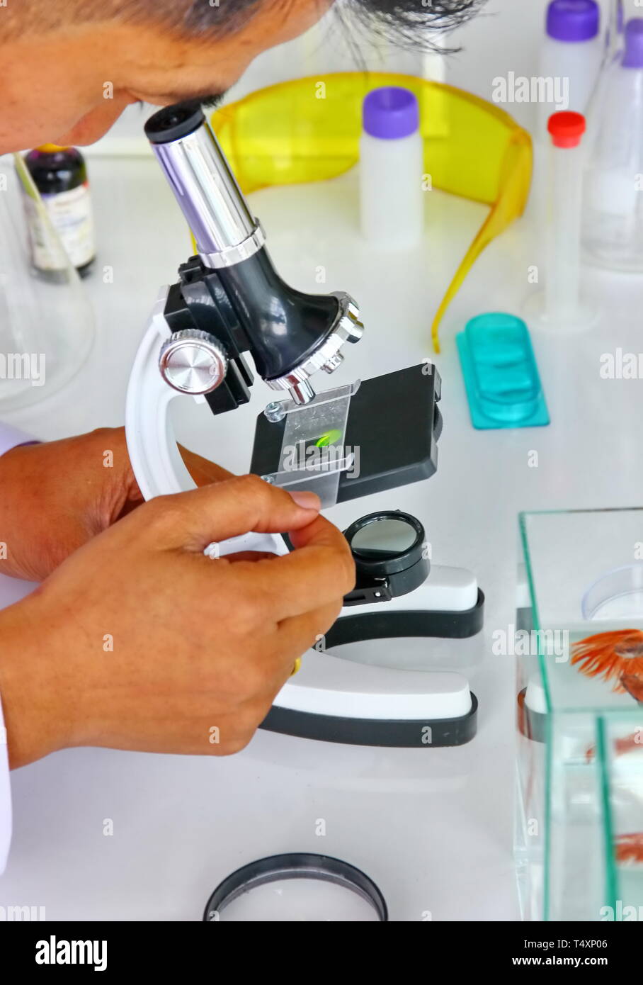 the doctor,researcher with lab equipment in clean room using microscope ...