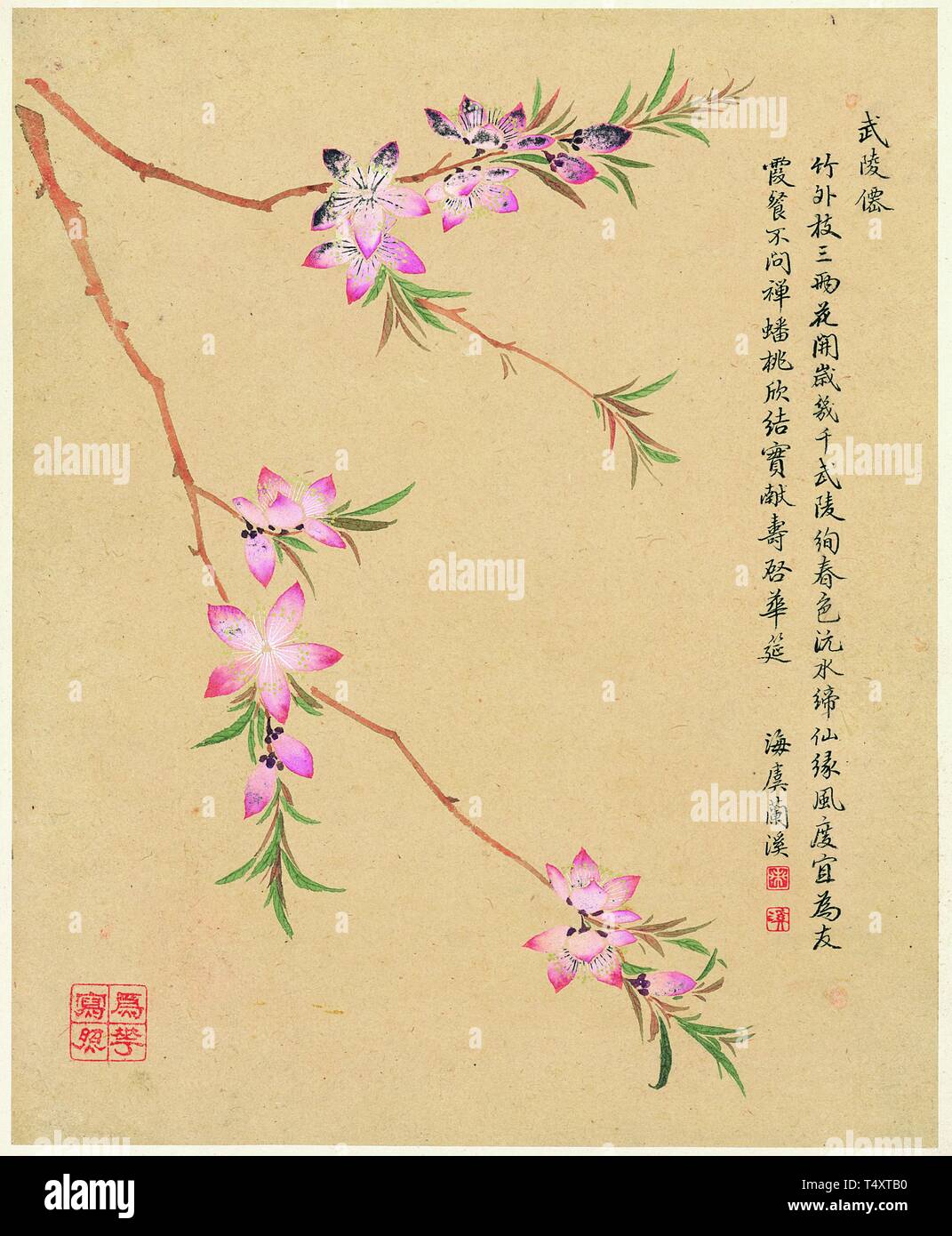 Zou Yigui, "Floral Eight Opens" in the Qing Dynasty Stock Photo - Alamy