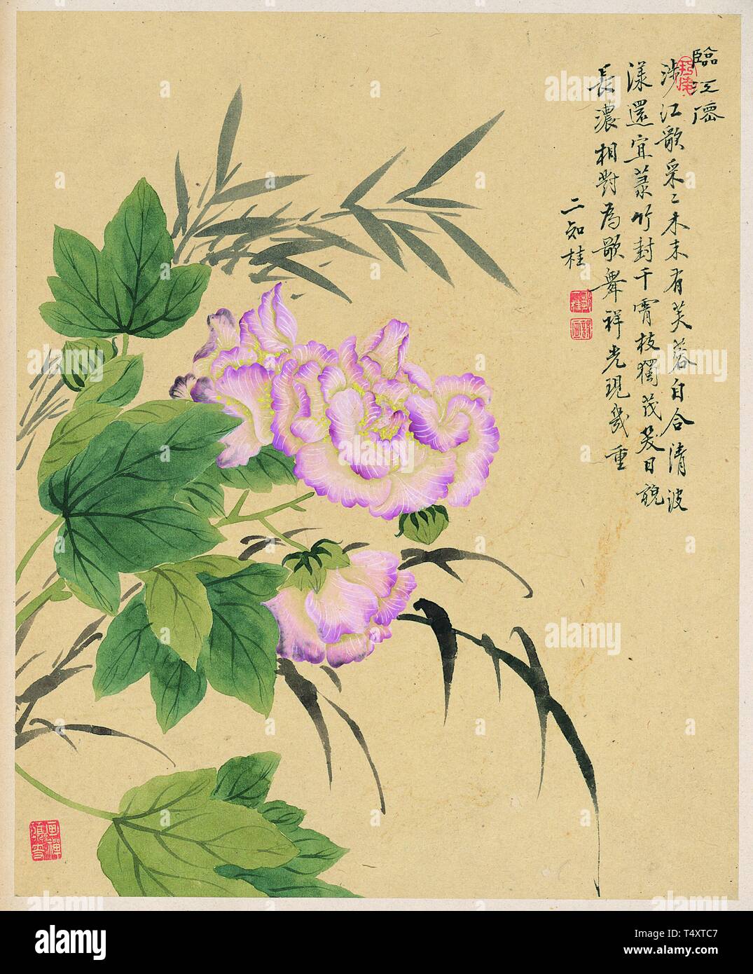 Zou Yigui, "Floral Eight Opens" in the Qing Dynasty Stock Photo - Alamy