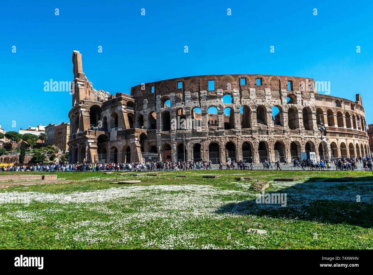 Coliseum, Rome., taly Stock Photo - Alamy