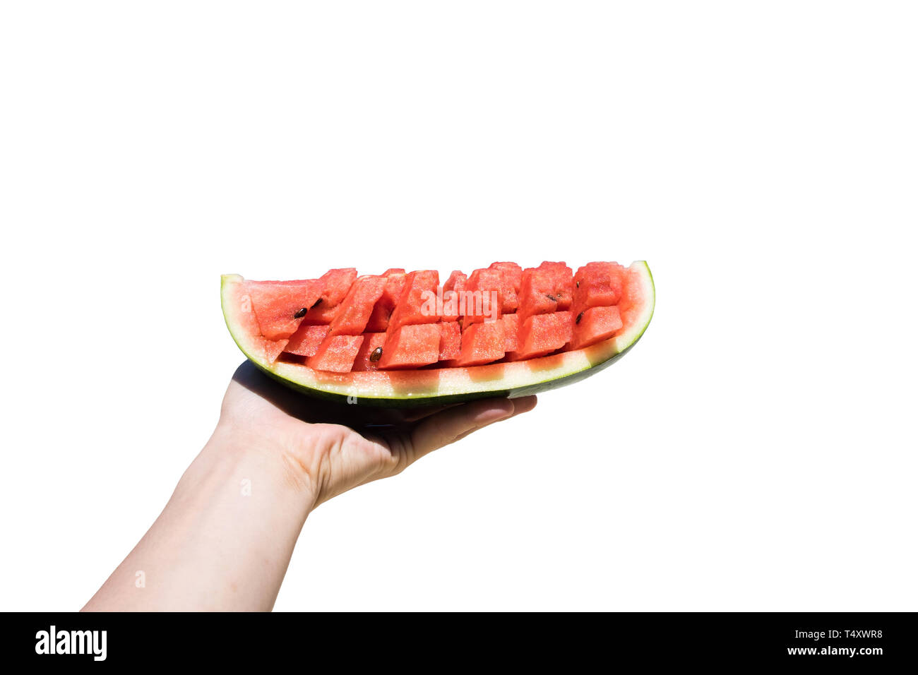 Hand holding watermelon split on white background Stock Photo - Alamy