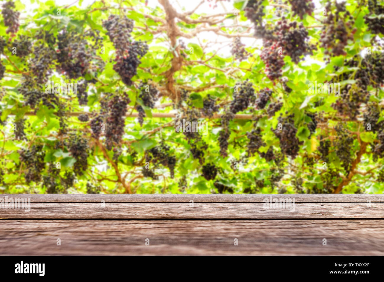 Grape bunch on wood hi-res stock photography and images - Alamy