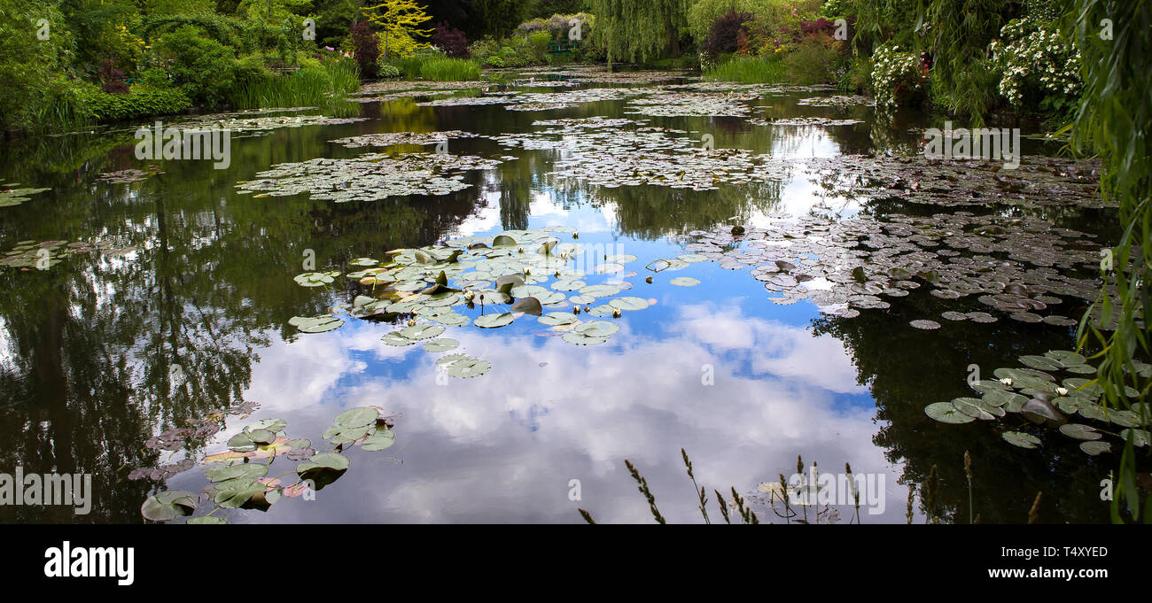 Pond, trees, and waterlilies in a french botanical garden Stock Photo ...