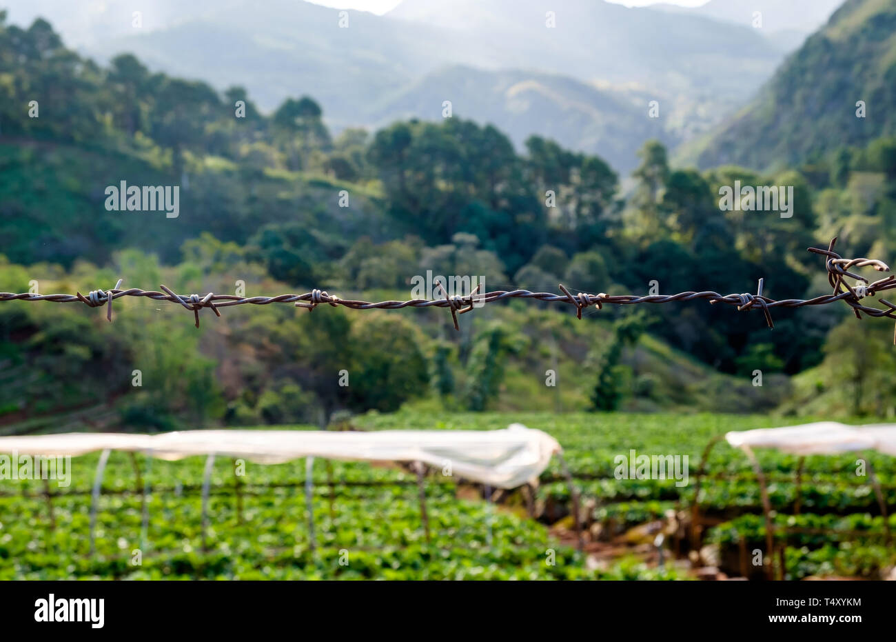 Coil farming hi-res stock photography and images - Alamy