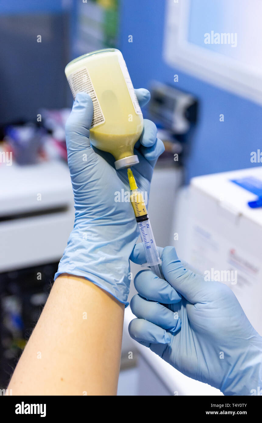 Preparation of medication in a syringe by a veterinarian Stock Photo ...