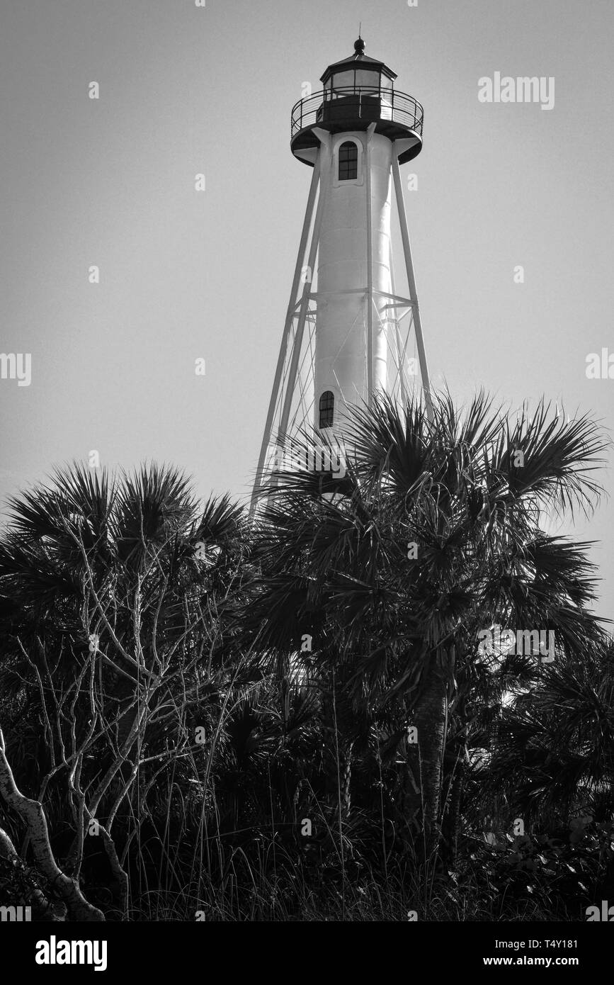 Tropical coastal area Black and White Stock Photos & Images - Alamy