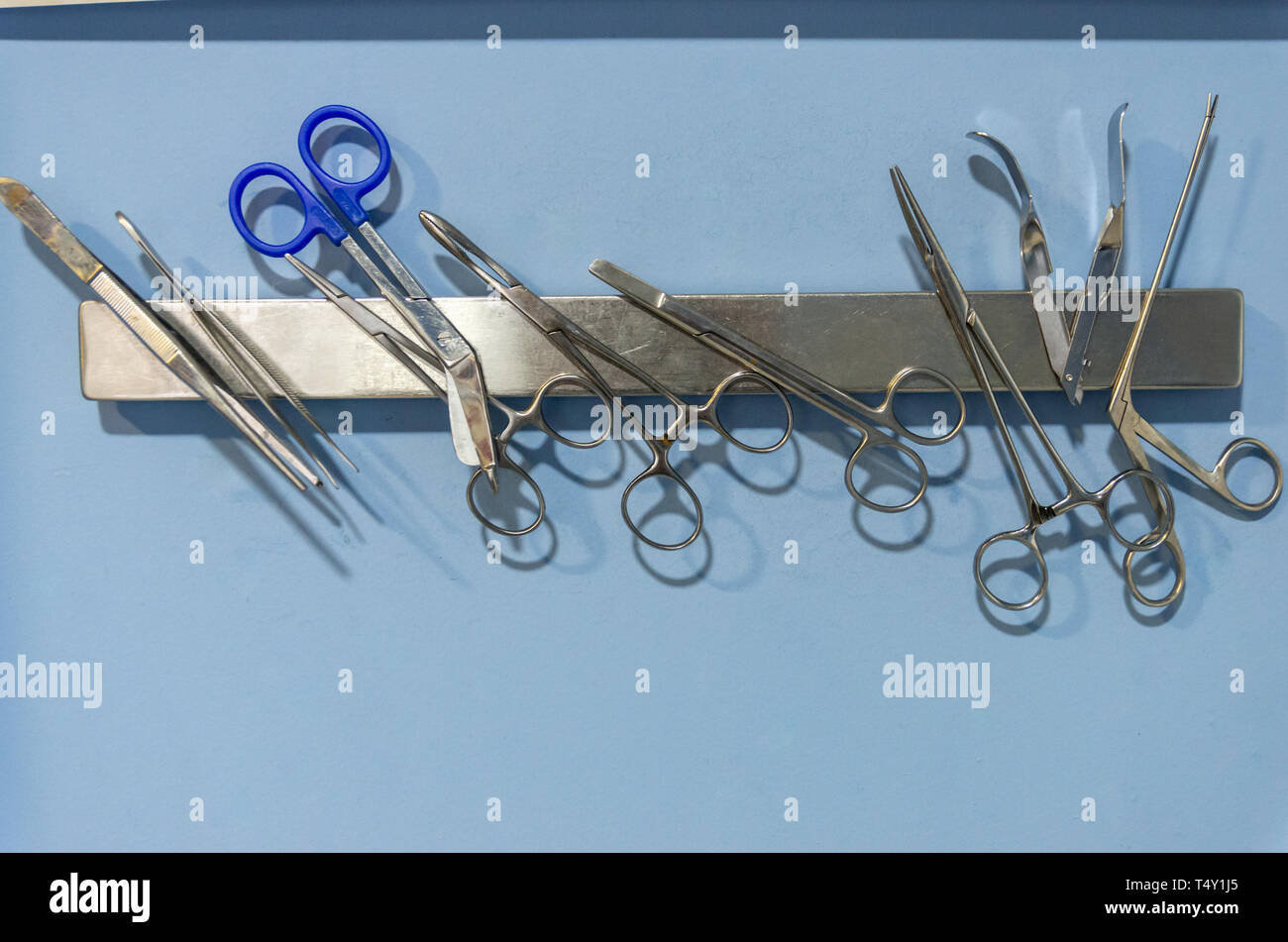 Stainless steel veterinary material stuck to a magnet Stock Photo - Alamy