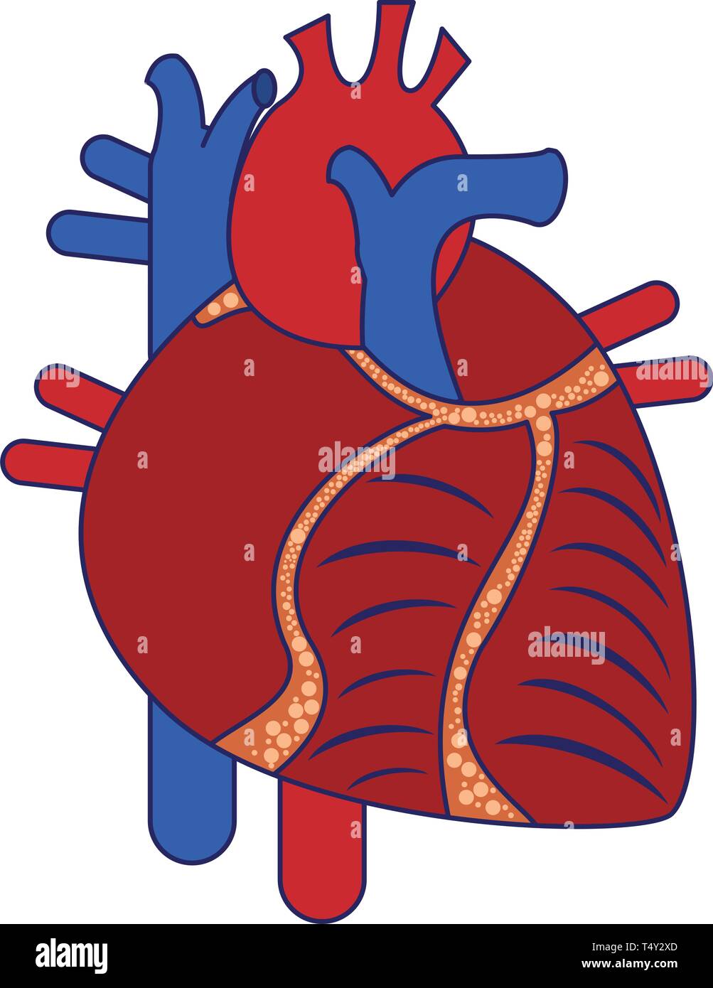Human heart cartoon isolated blue lines Stock Vector Image & Art - Alamy