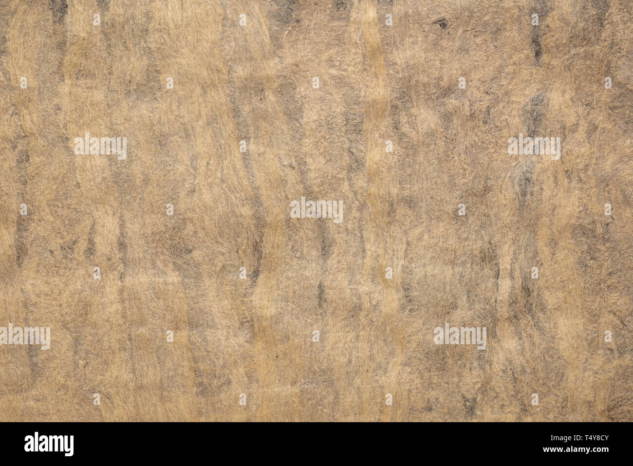 Amate tree hi-res stock photography and images - Alamy