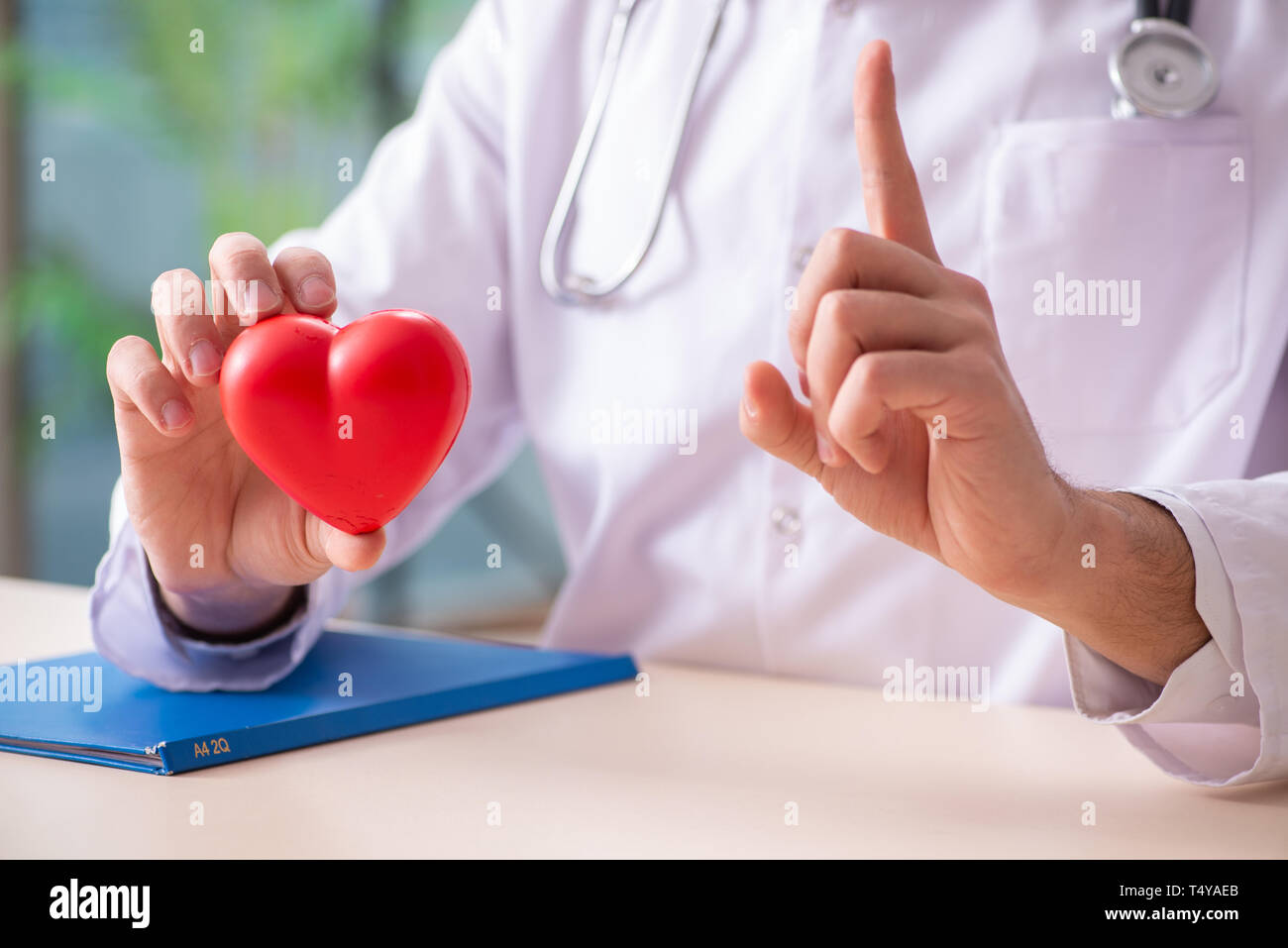 Male doctor cardiologist holding heart model Stock Photo - Alamy