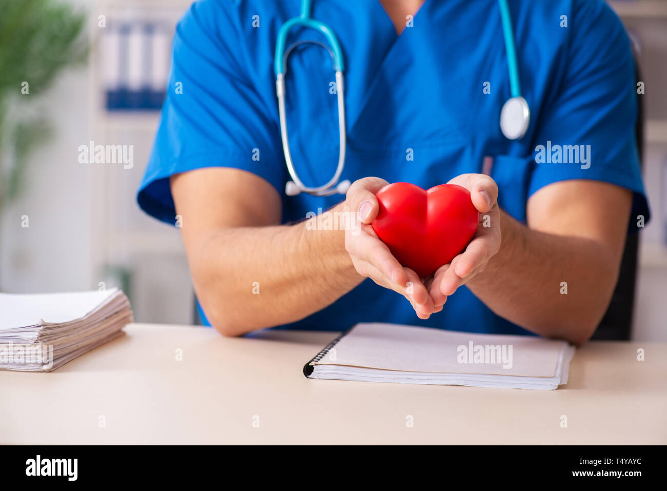 Male doctor cardiologist holding heart model Stock Photo - Alamy