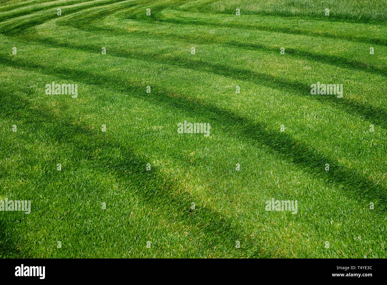 Striped cut grass hi-res stock photography and images - Alamy