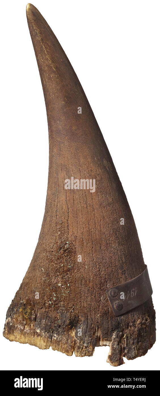 1911 piece Cut Out Stock Images & Pictures - Alamy