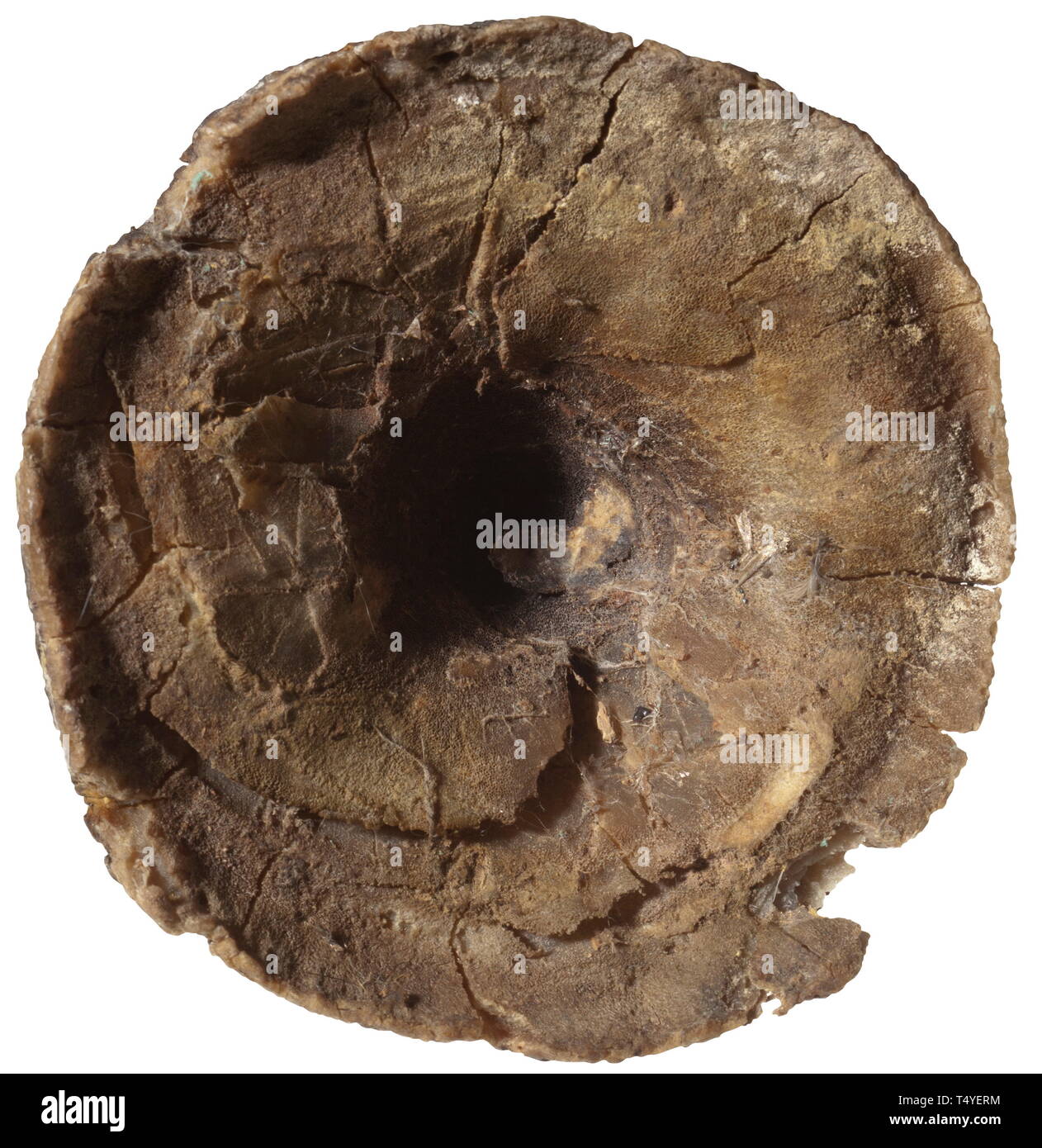 Athi plains 1911 hi-res stock photography and images - Alamy
