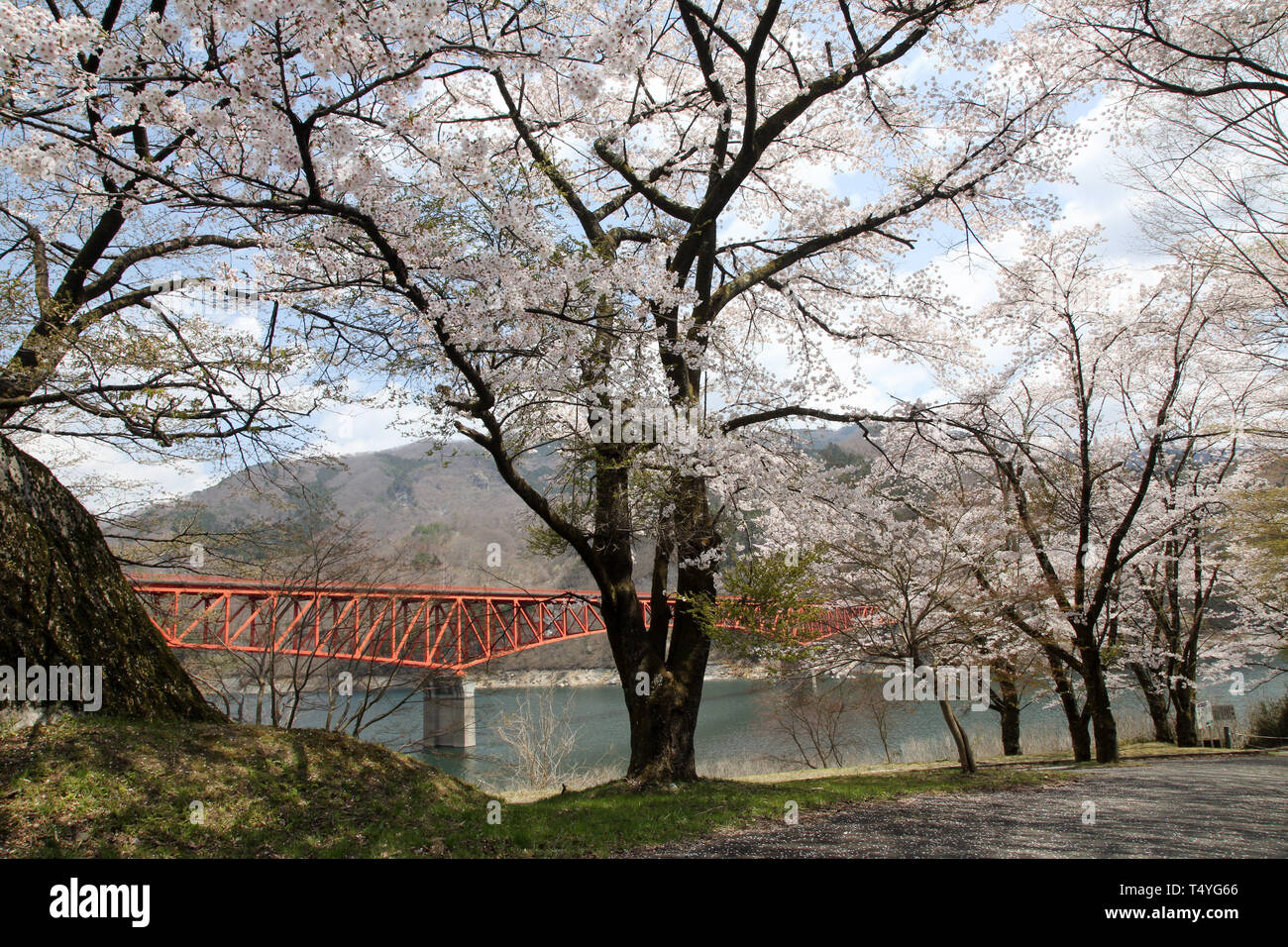 Kusaki Park, along Romantic Road, Japan Stock Photo - Alamy