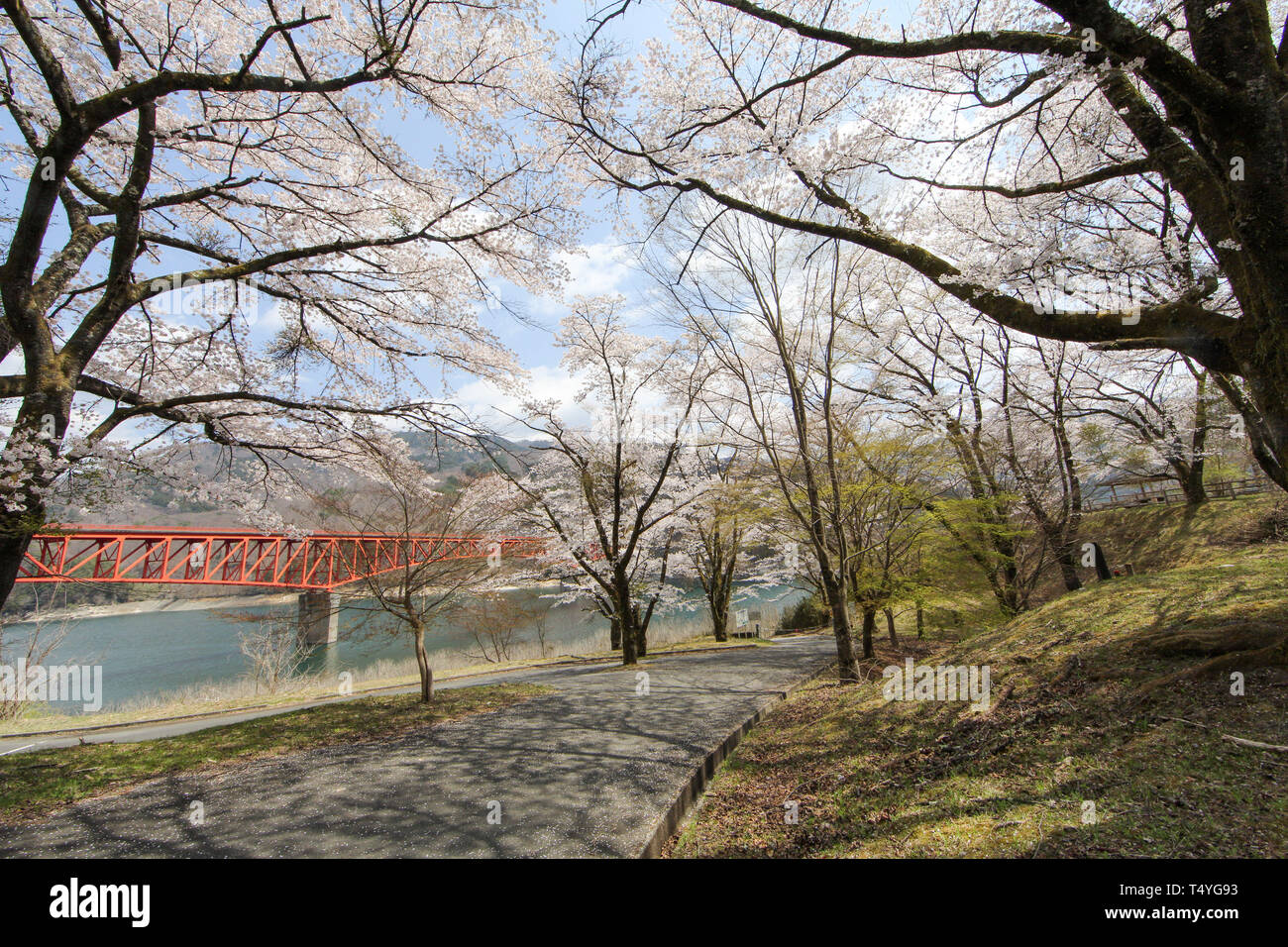 Kusaki Park, along Romantic Road, Japan Stock Photo - Alamy