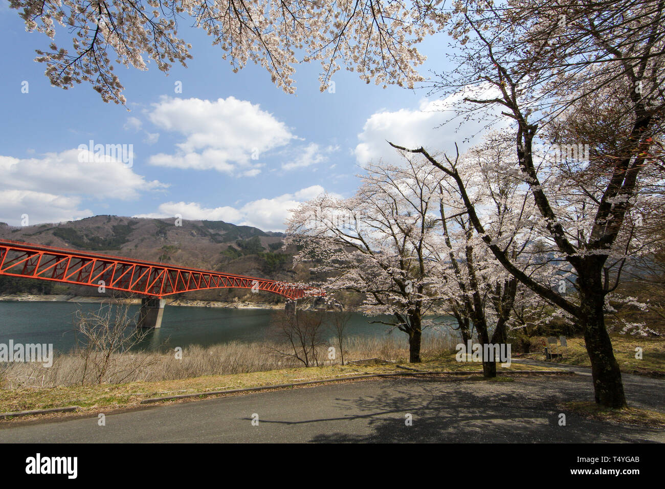 Kusaki Park, along Romantic Road, Japan Stock Photo - Alamy