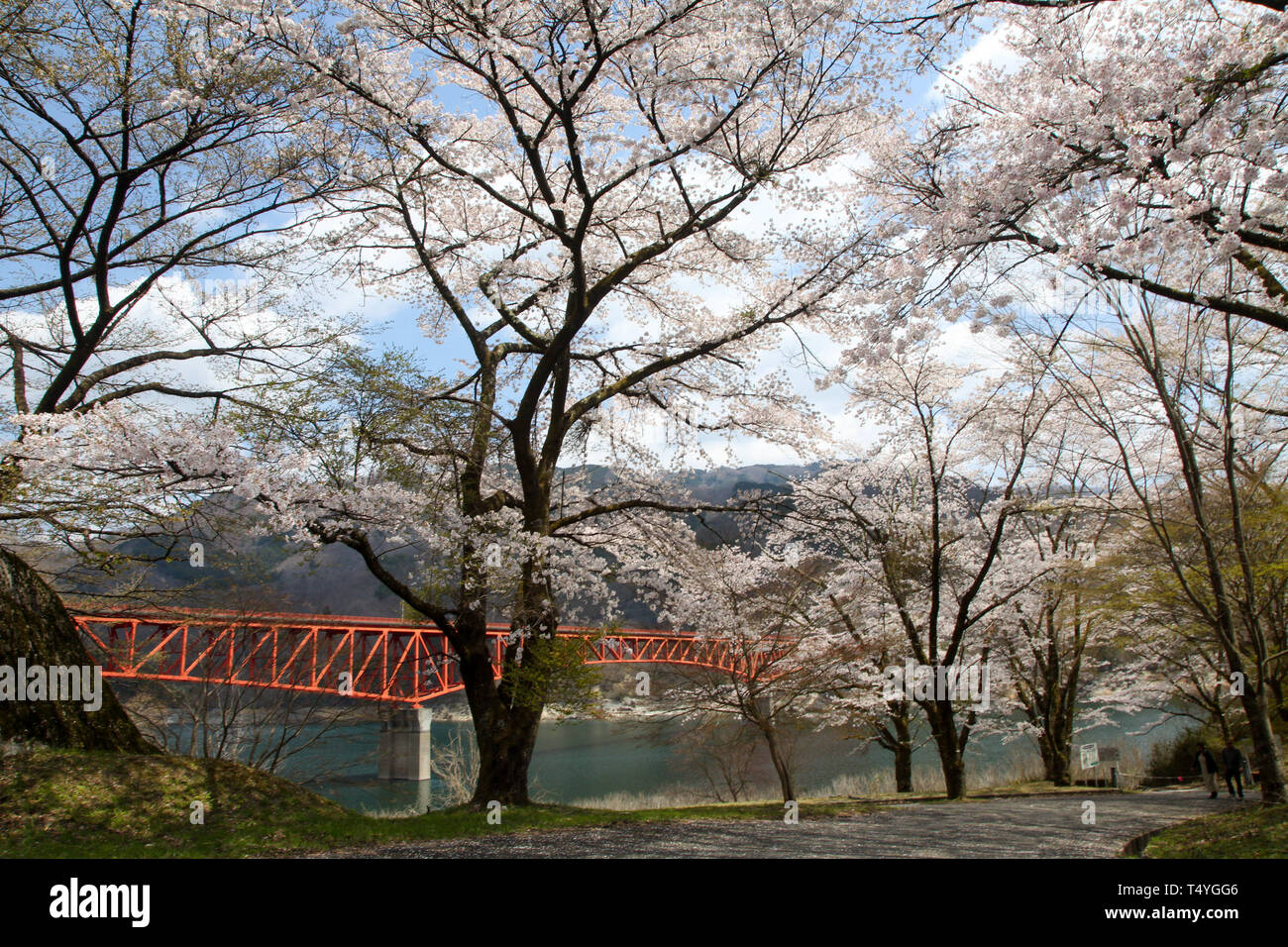 Kusaki Park, along Romantic Road, Japan Stock Photo - Alamy