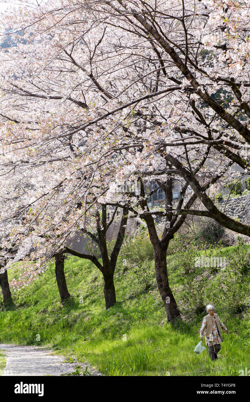 Park, Gumma prefucture, Japan Stock Photo - Alamy