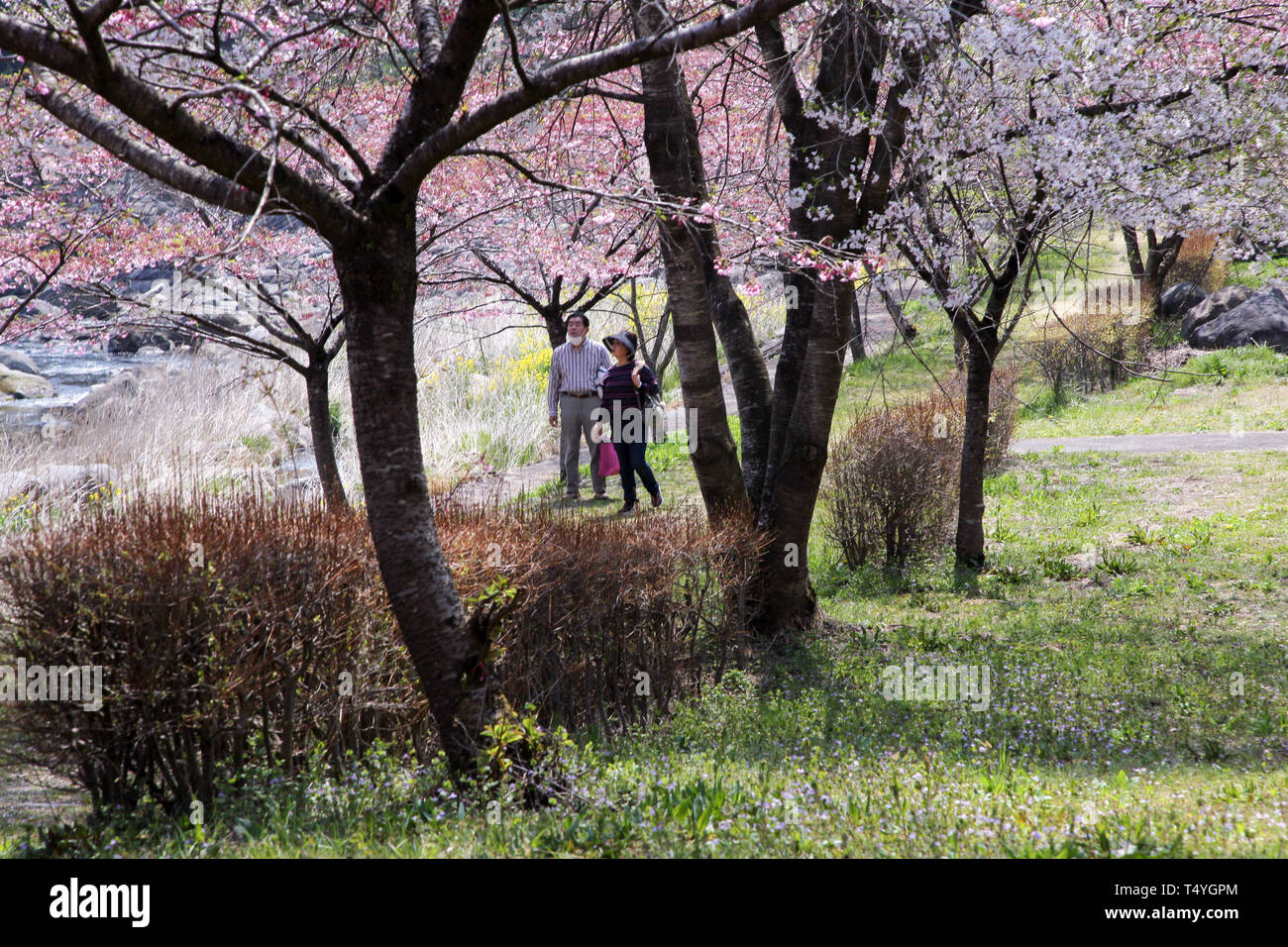 Park in Gumma prefecture, Japan Stock Photo - Alamy