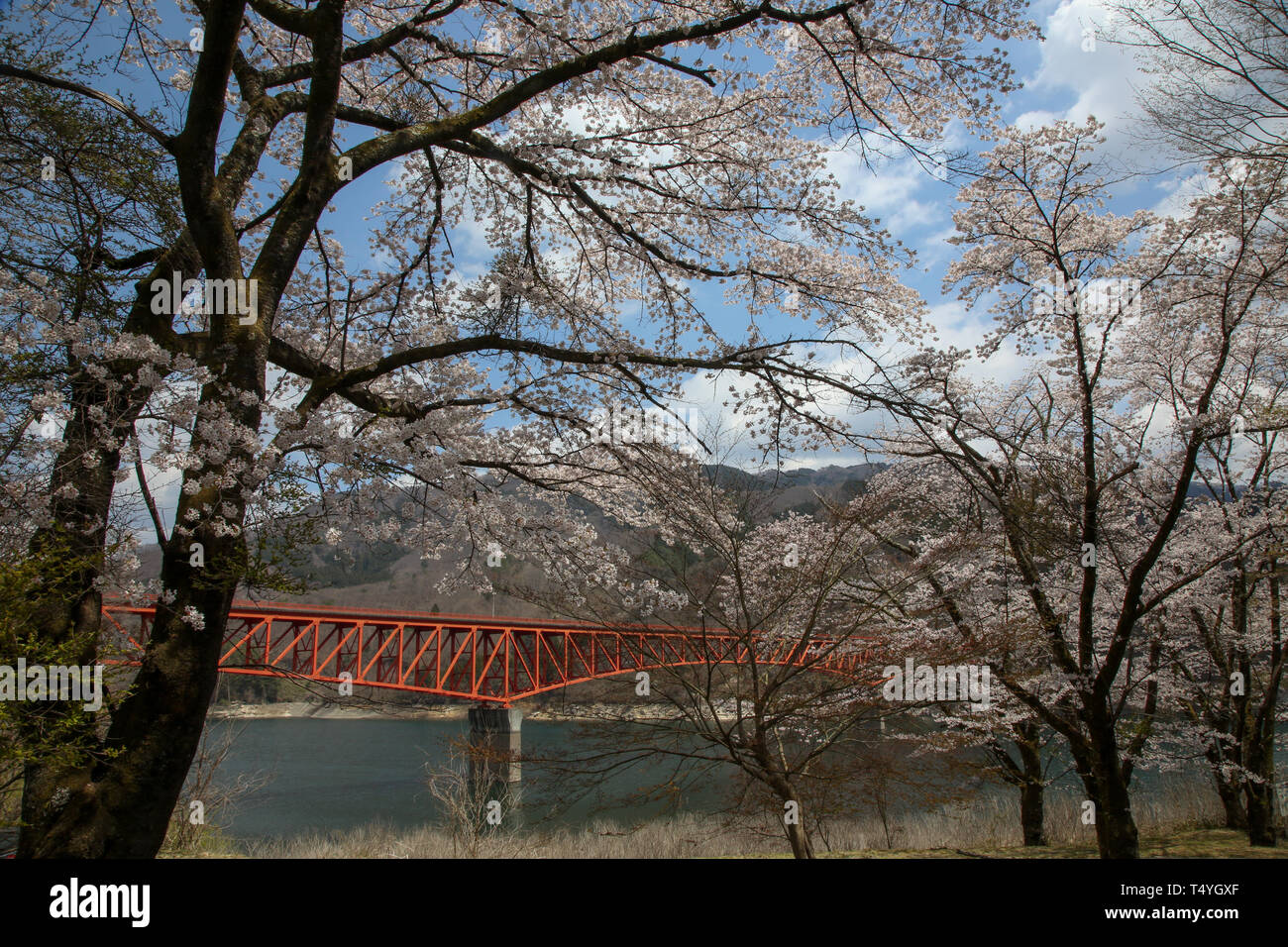 Kusaki Park, along Romantic Road, Japan Stock Photo - Alamy